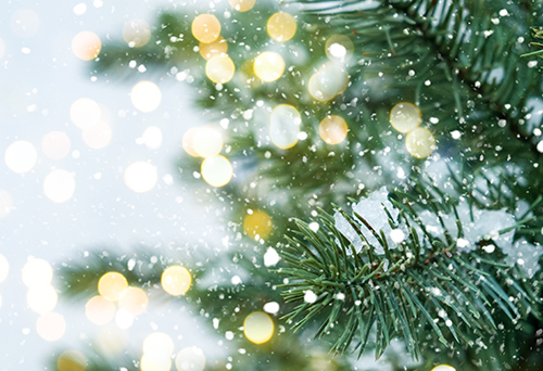 The festive period at LBS: Everything you need to know – Student and ...